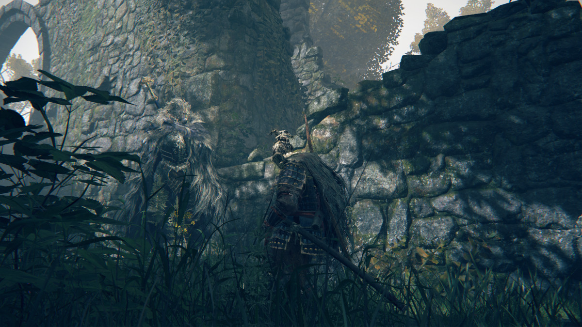 How To Complete Blaidd's Questline in Elden Ring | The Nerd Stash