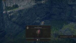 Elden Ring: How to Get Bewitching Branches | The Nerd Stash