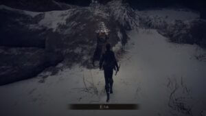 Elden Ring: How to Complete Shabriri's Questline | The Nerd Stash