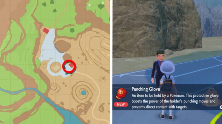 How to get Punching Glove in Pokémon Scarlet & Violet