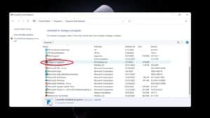 How to Uninstall Riot Client on Your PC | The Nerd Stash