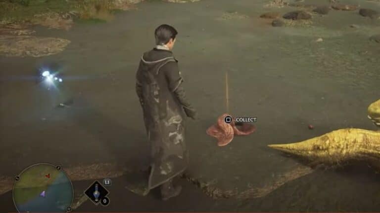How to Slice a Dangling Dugbog in Hogwarts Legacy