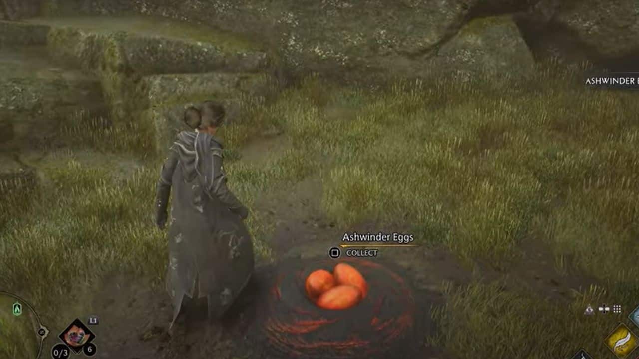 How To Get Ashwinder Eggs in Hogwarts Legacy