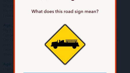 All Driving Test Answers in BitLife | The Nerd Stash