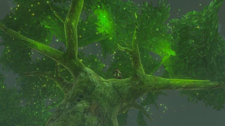 How to Complete The Flute Player's Plan in Zelda Tears of the Kingdom