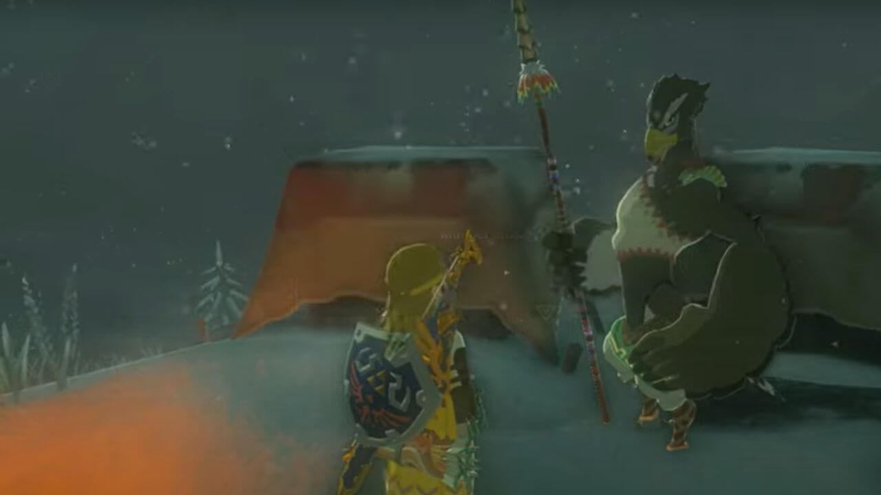 Supply Eyeing Flyers in Zelda Tears of the Kingdom