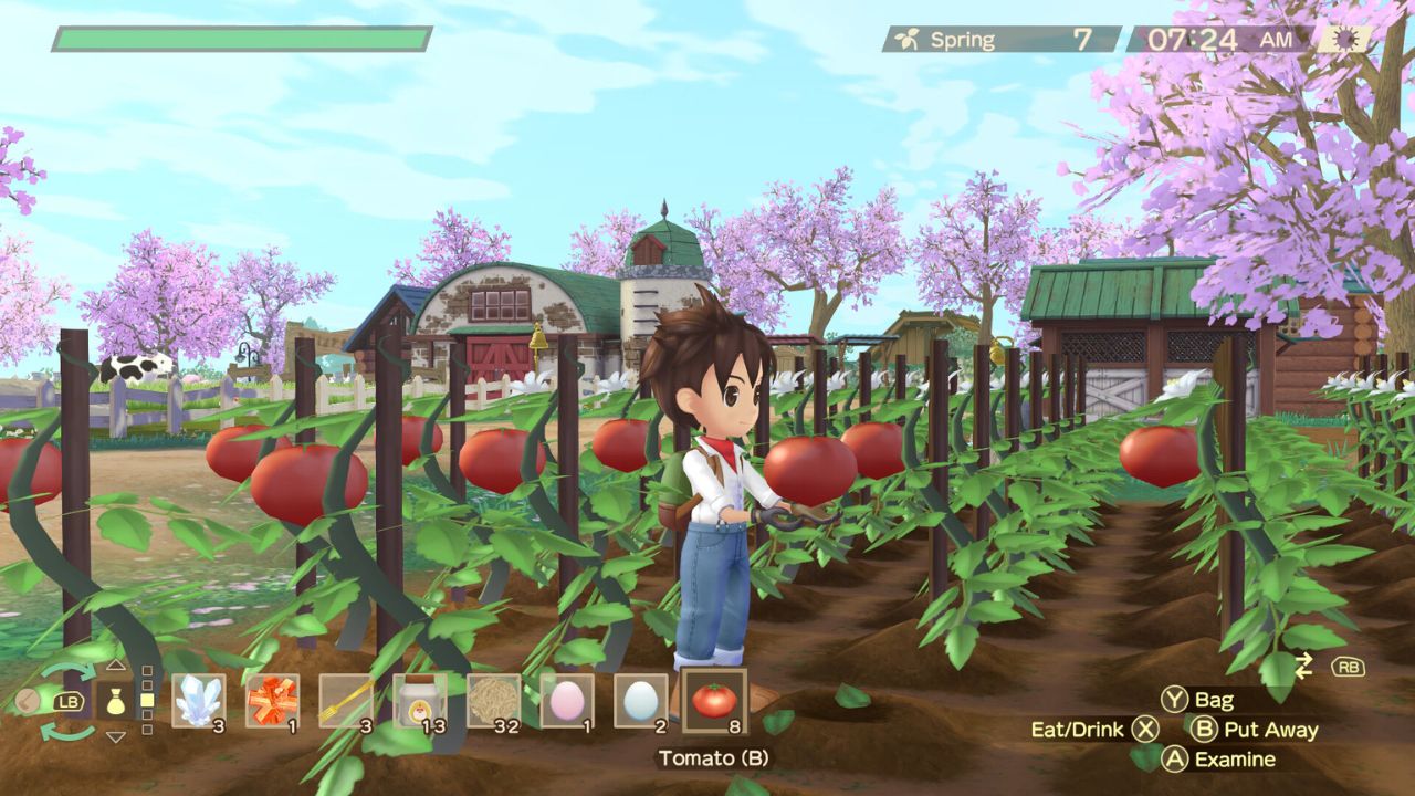 Story of Seasons: A Wonderful Life Blessed Tools Guide | The Nerd Stash