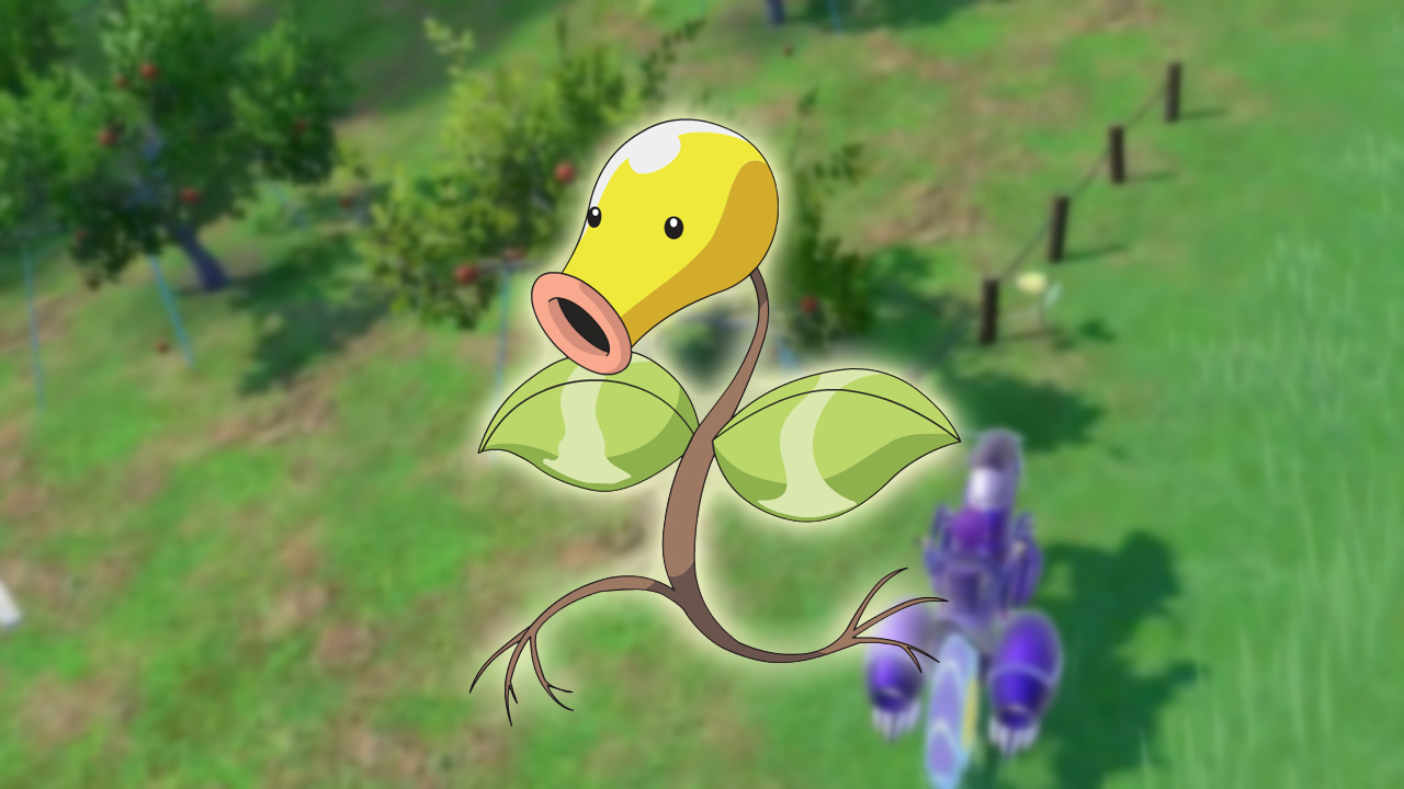 How To Get (& Evolve) Bellsprout in Pokemon Scarlet and Violet The Teal ...