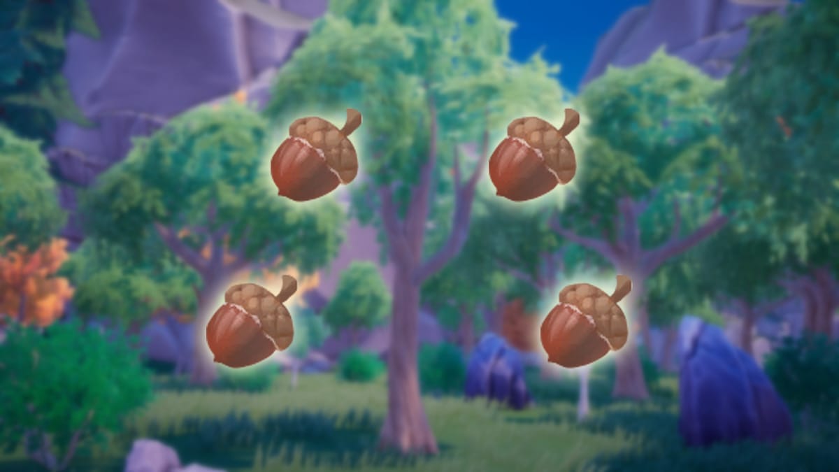 How To Get (& Use) Acorn in Palia | The Nerd Stash