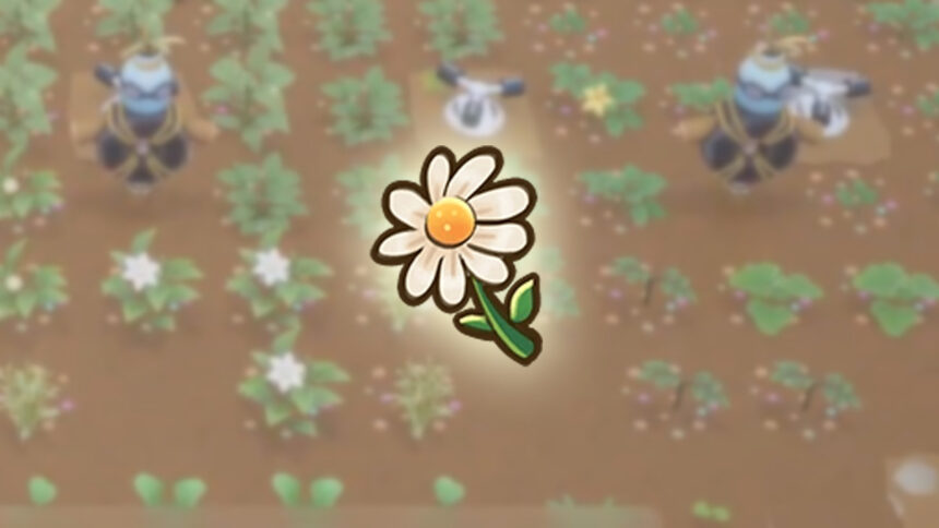 How To Get (& Use) Daisy in Coral Island | The Nerd Stash
