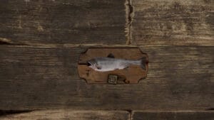 All Rust Frontier Pack DLC Content, & Is it Worth Buying? | The Nerd Stash