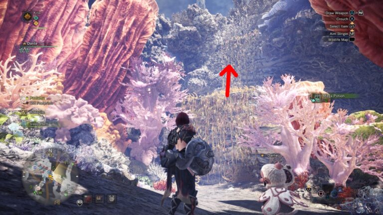 All Coral Highlands Camp Locations in Monster Hunter World | The Nerd Stash