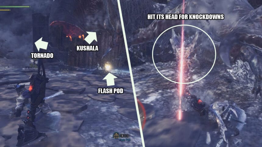 How To Defeat Kushala Daora in Monster Hunter World (Strategies ...