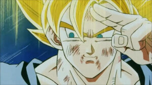 The Top 10 Rarest DVDs That Are Worth a Small Fortune | The Nerd Stash