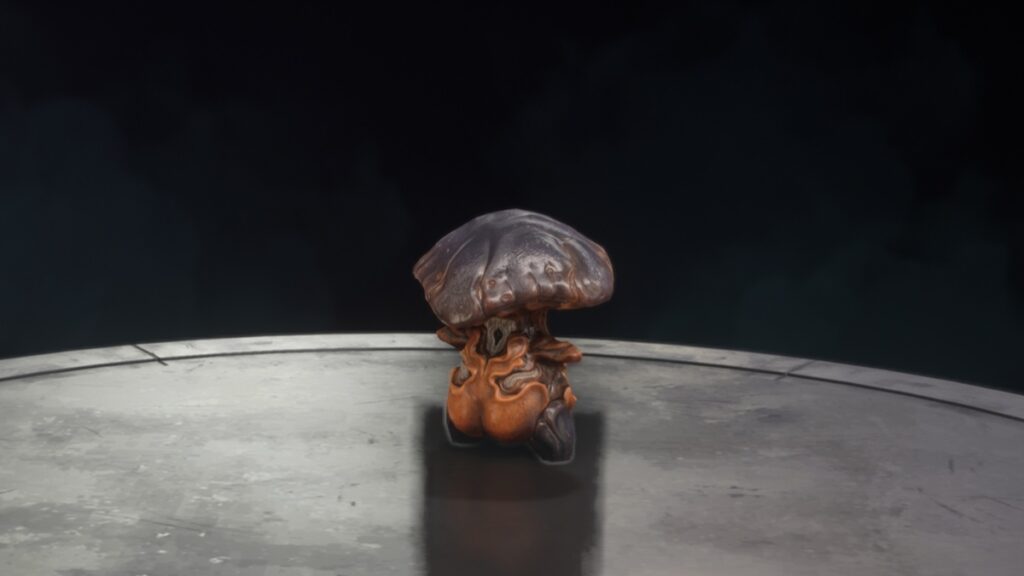 The Ultimate Nokko, Mushroom Warframe Build Guide for Champignons | The ...